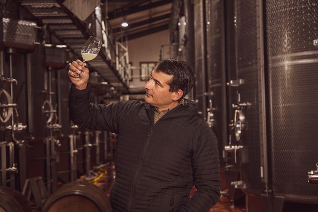 A VINE TIME | The 'human Terroir' Of Diemersdal Wines