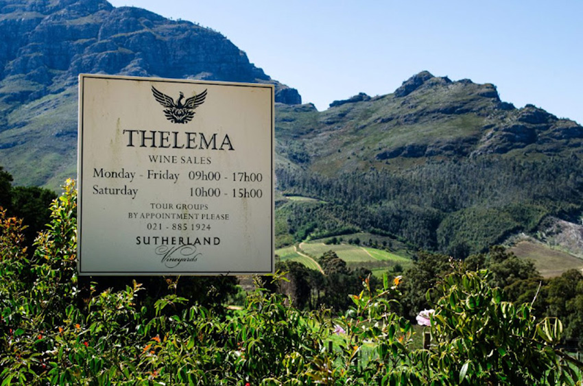 A VINE TIME | Thelema A Pioneer In SA Wine, And Still Making Waves